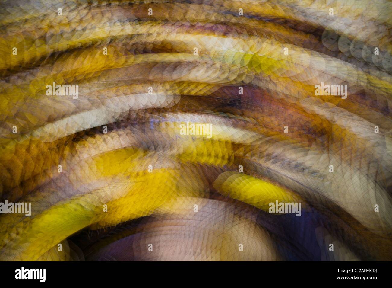 Fall Leaves Multiple Exposure Panning Stock Photo - Alamy