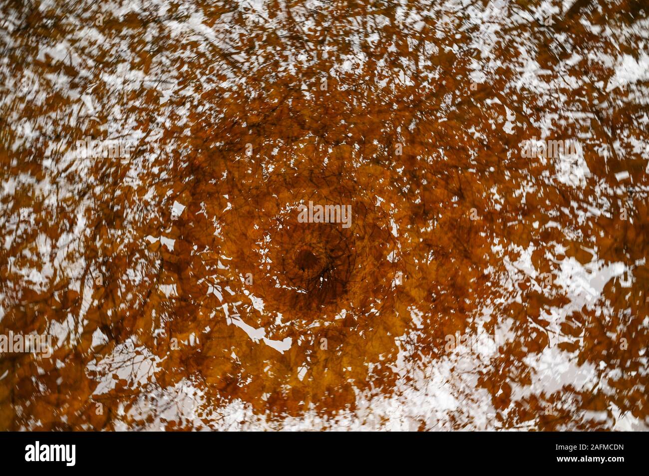 Fall Leaves Multiple Exposure Zoom And Spinning Stock Photo - Alamy
