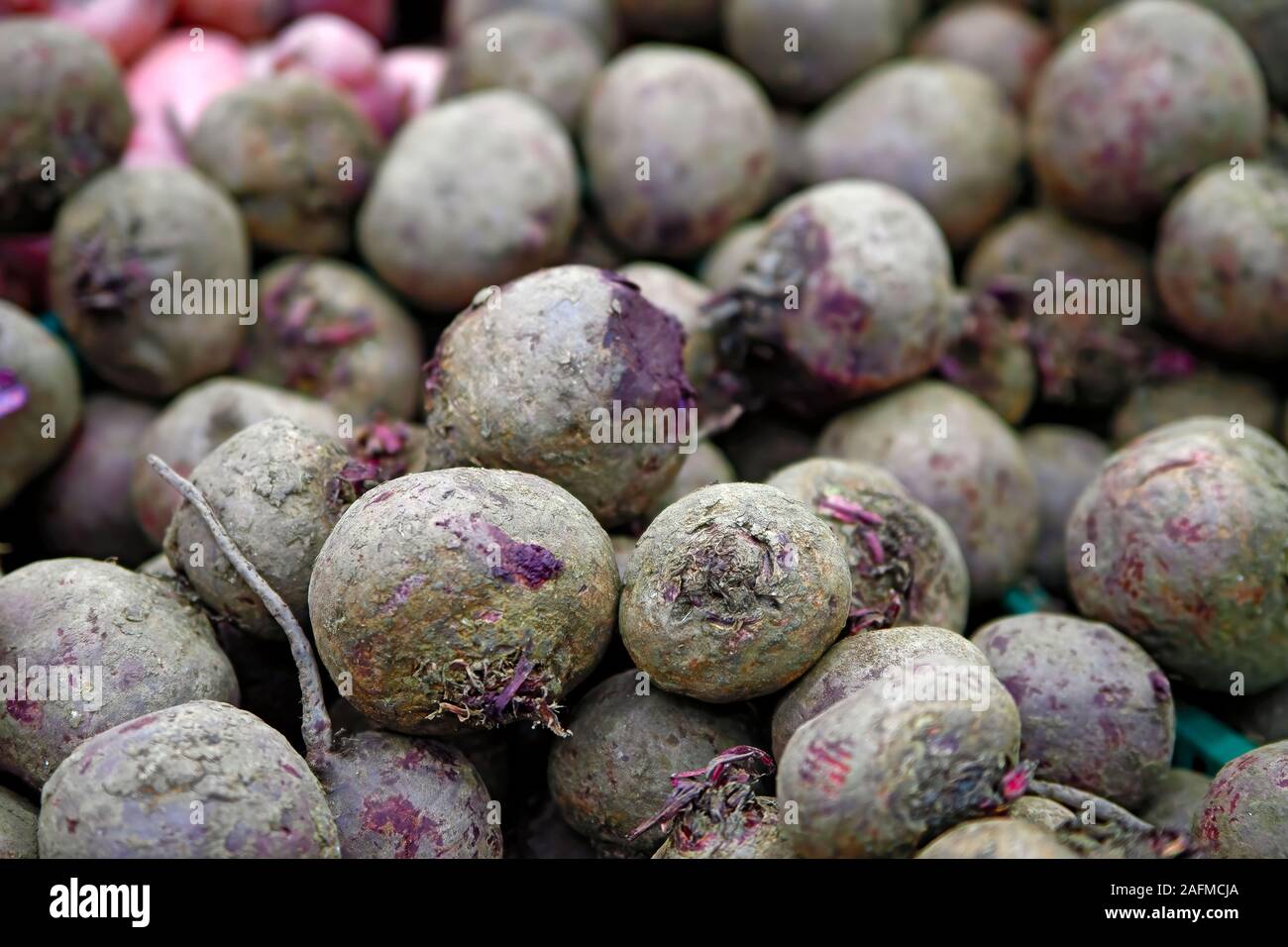 Seasonal vegetables are stacked in boxes at the grocery store. Close-up ...