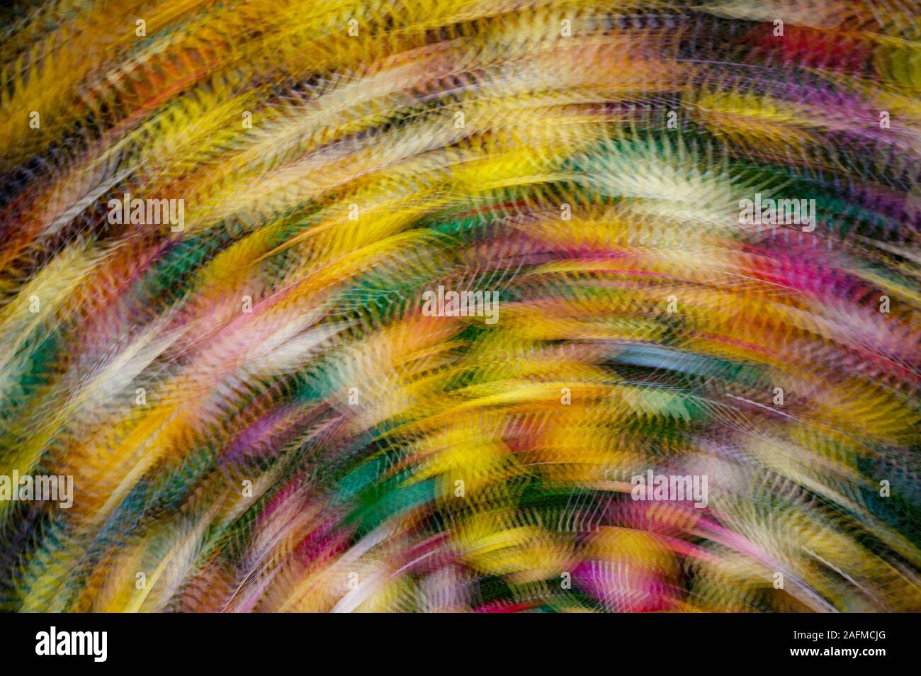 Fall Leaves Multiple Exposure Panning Camera Stock Photo - Alamy