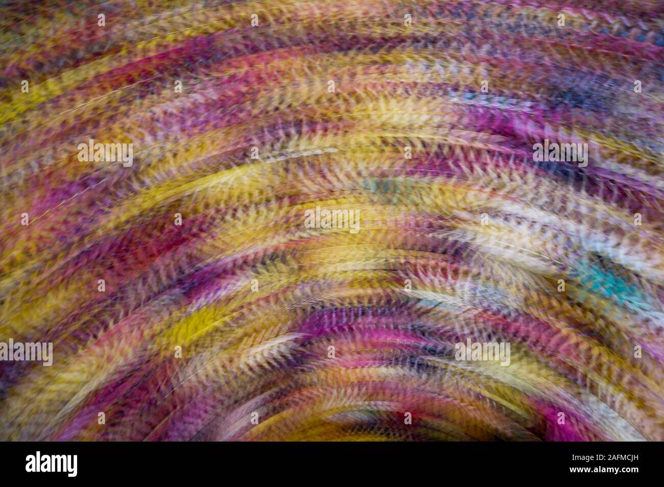 Fall Leaves Multiple Exposure Panning Camera Stock Photo - Alamy
