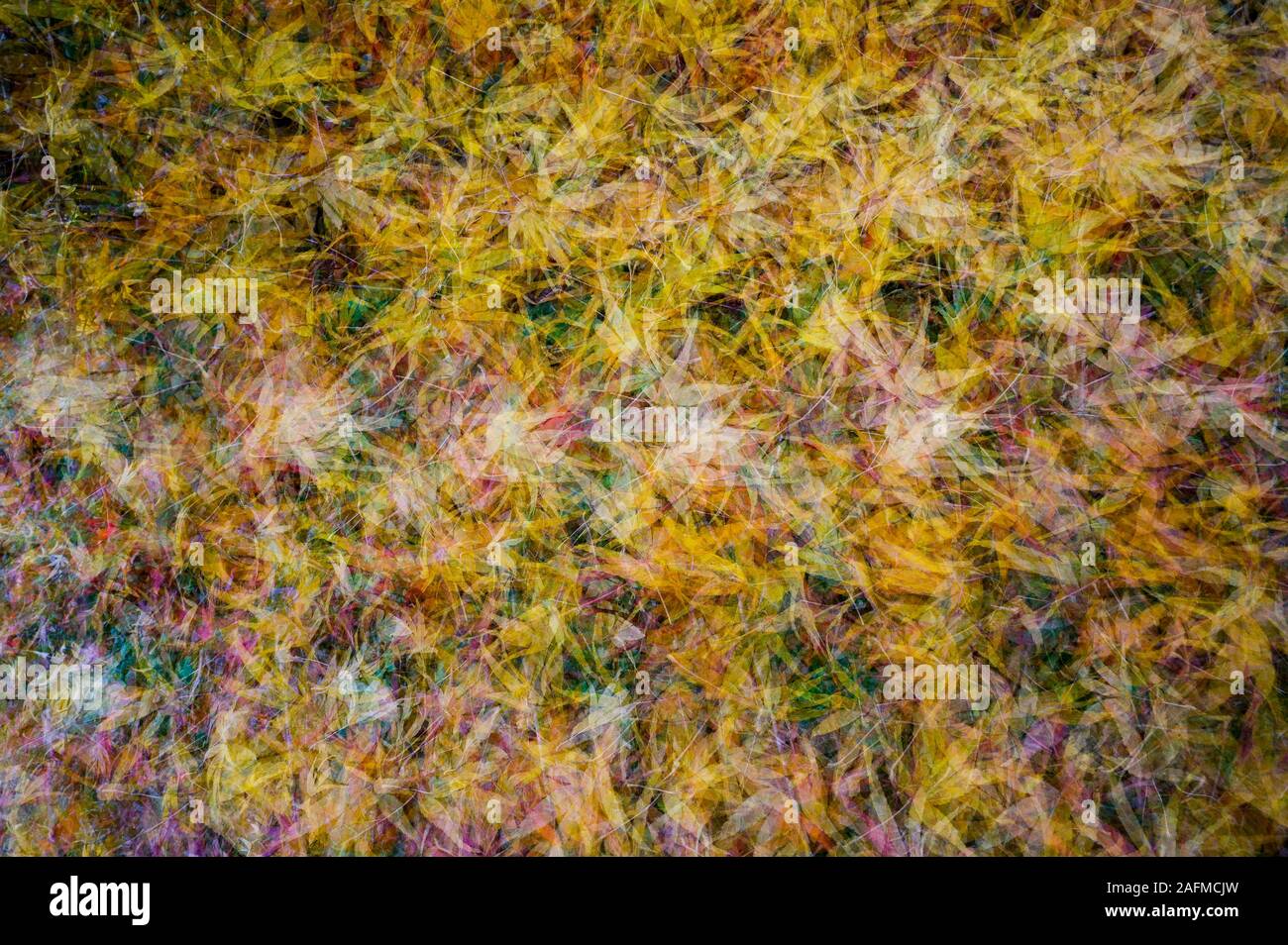Fall Leaves Multiple Exposure Panning Camera Stock Photo - Alamy