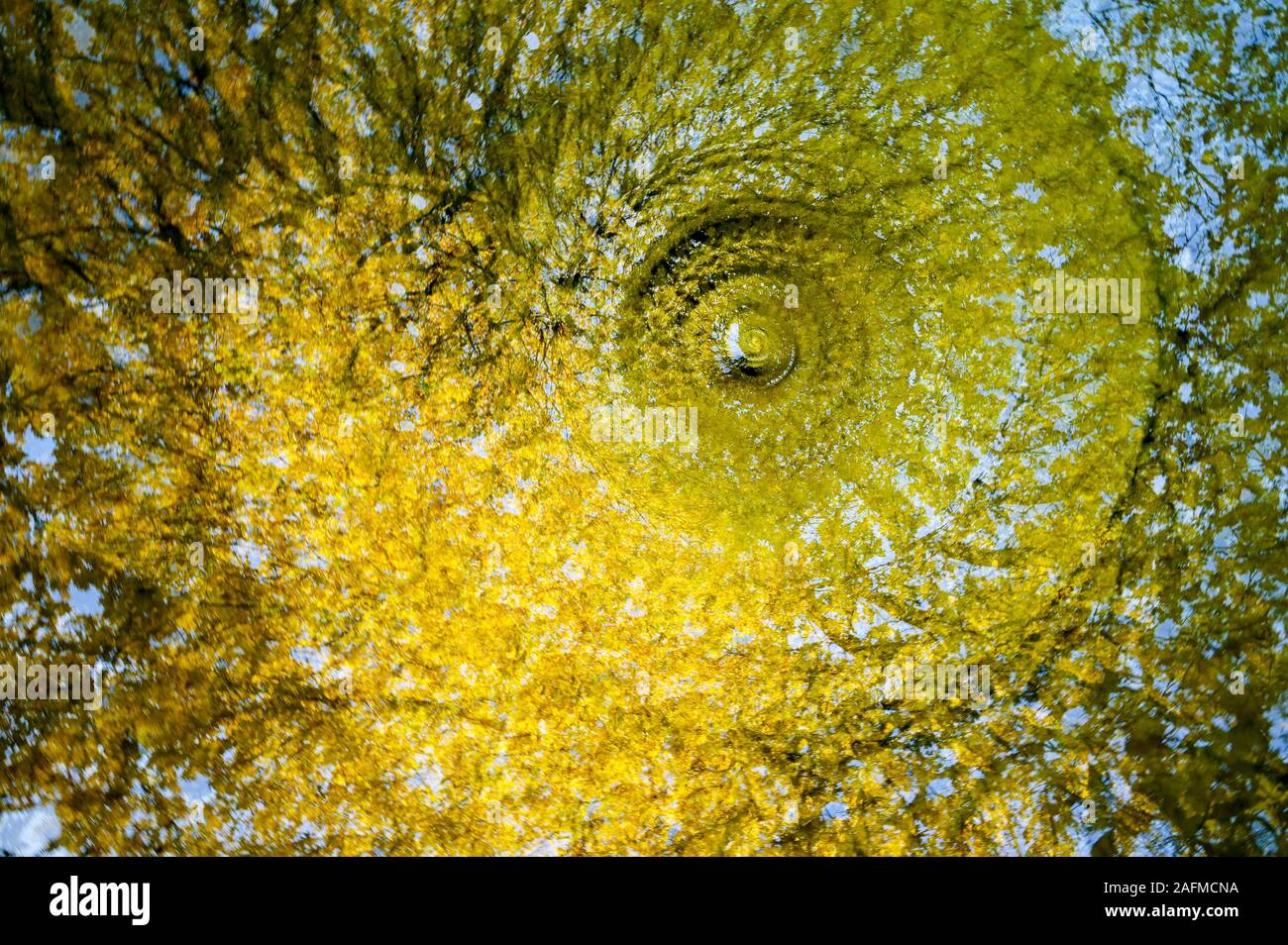 Distorted leaves hi-res stock photography and images - Alamy