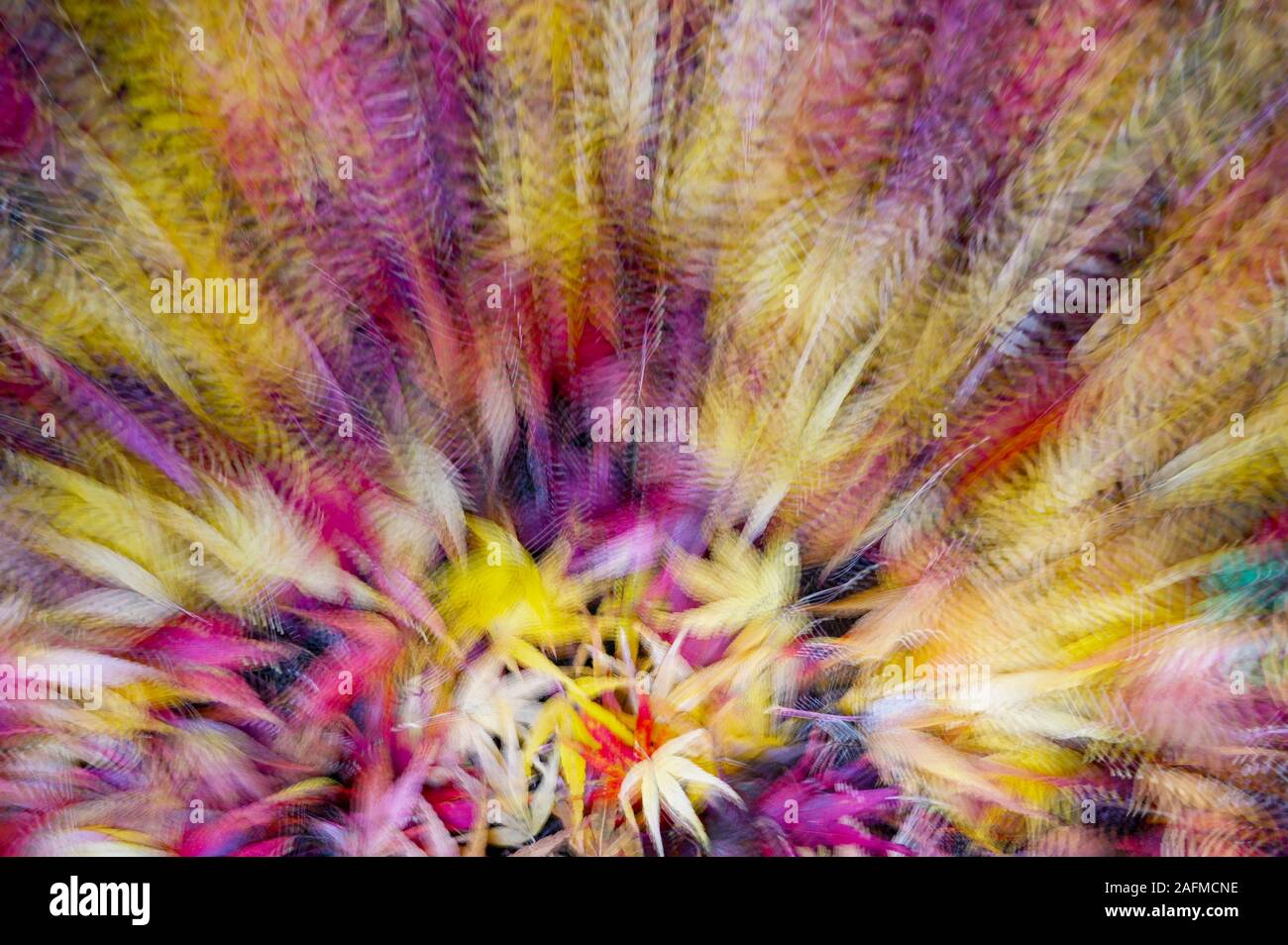 Fall Leaves Multiple Exposure Zooming Camera Stock Photo - Alamy