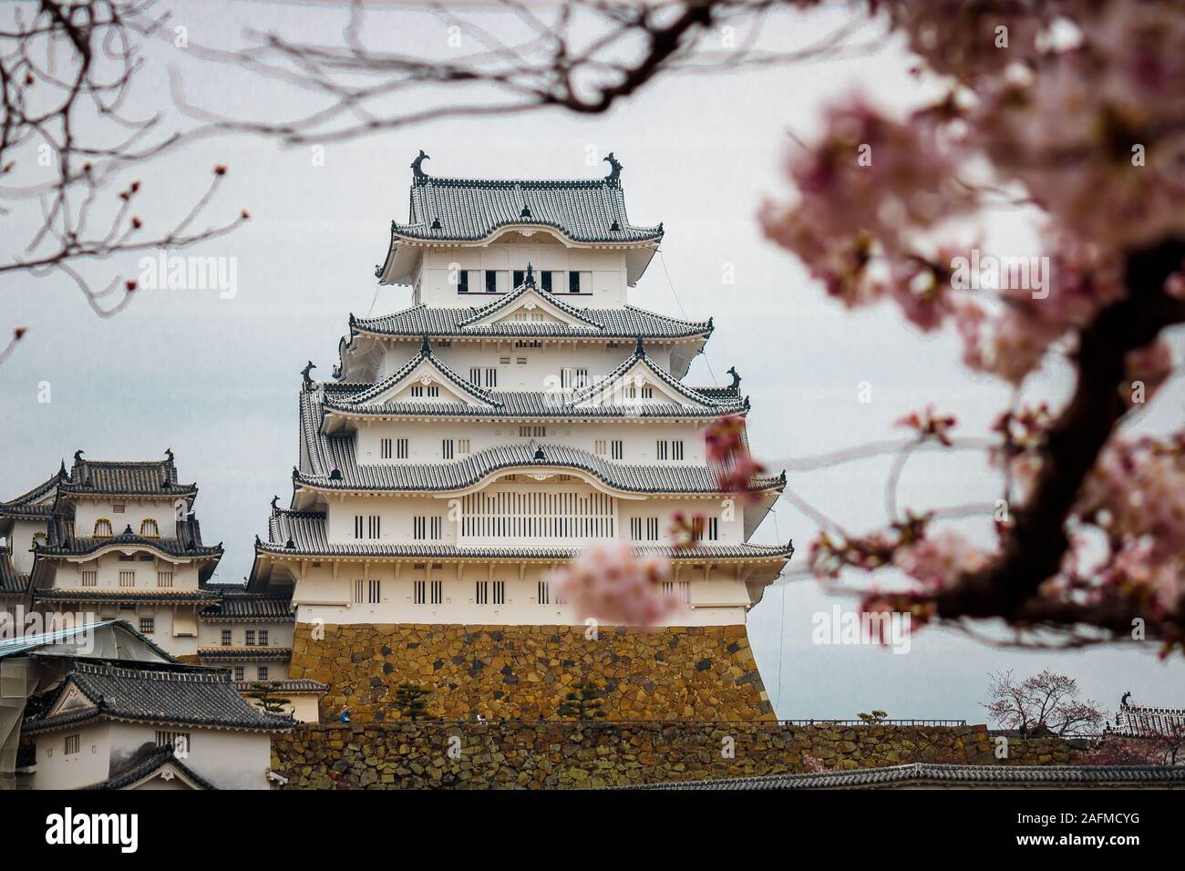 Japan: Incredible Himeji Castle and blooming sakura branch Stock Photo ...
