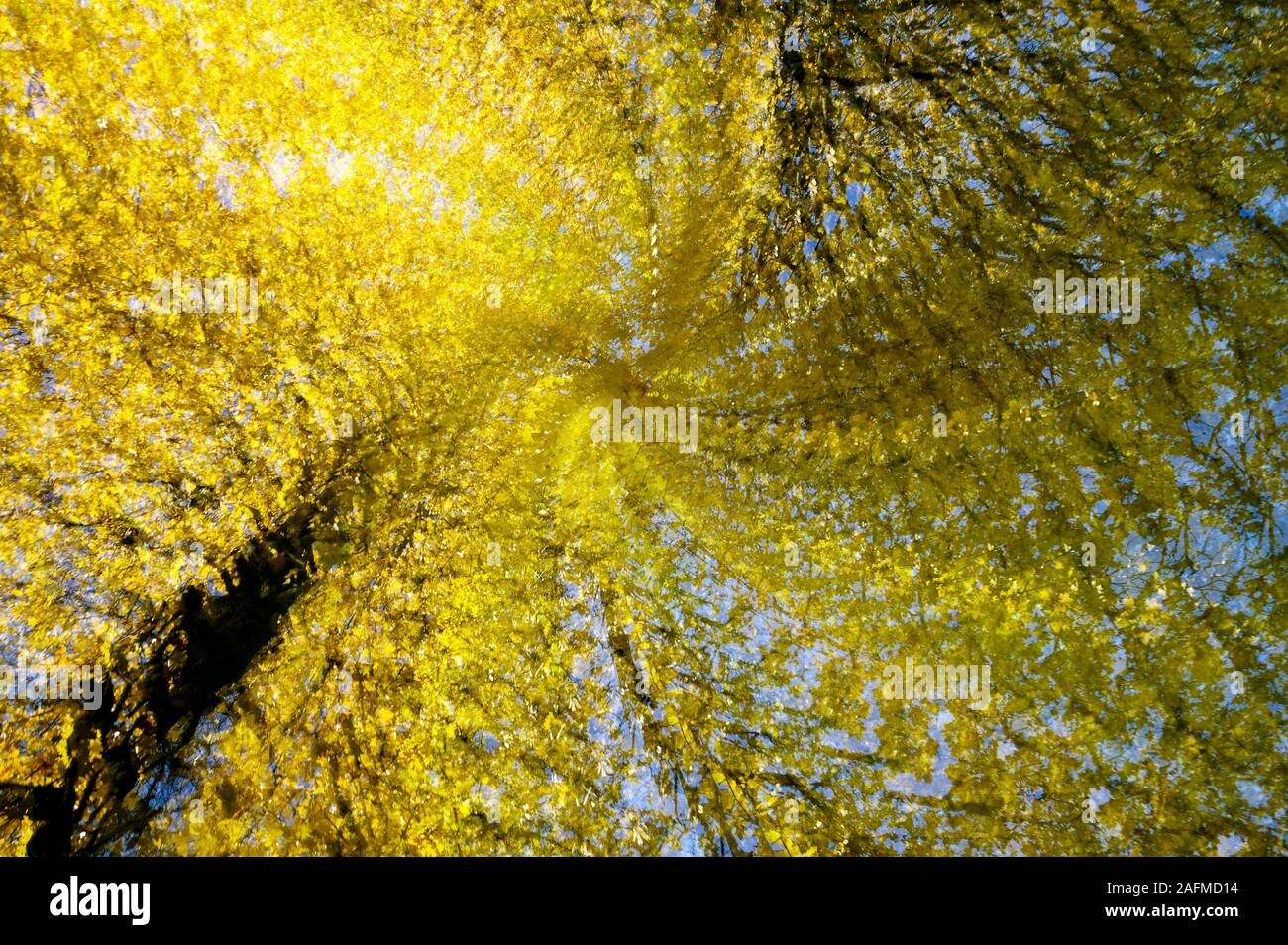 Multiple exposure abstract hi-res stock photography and images - Alamy