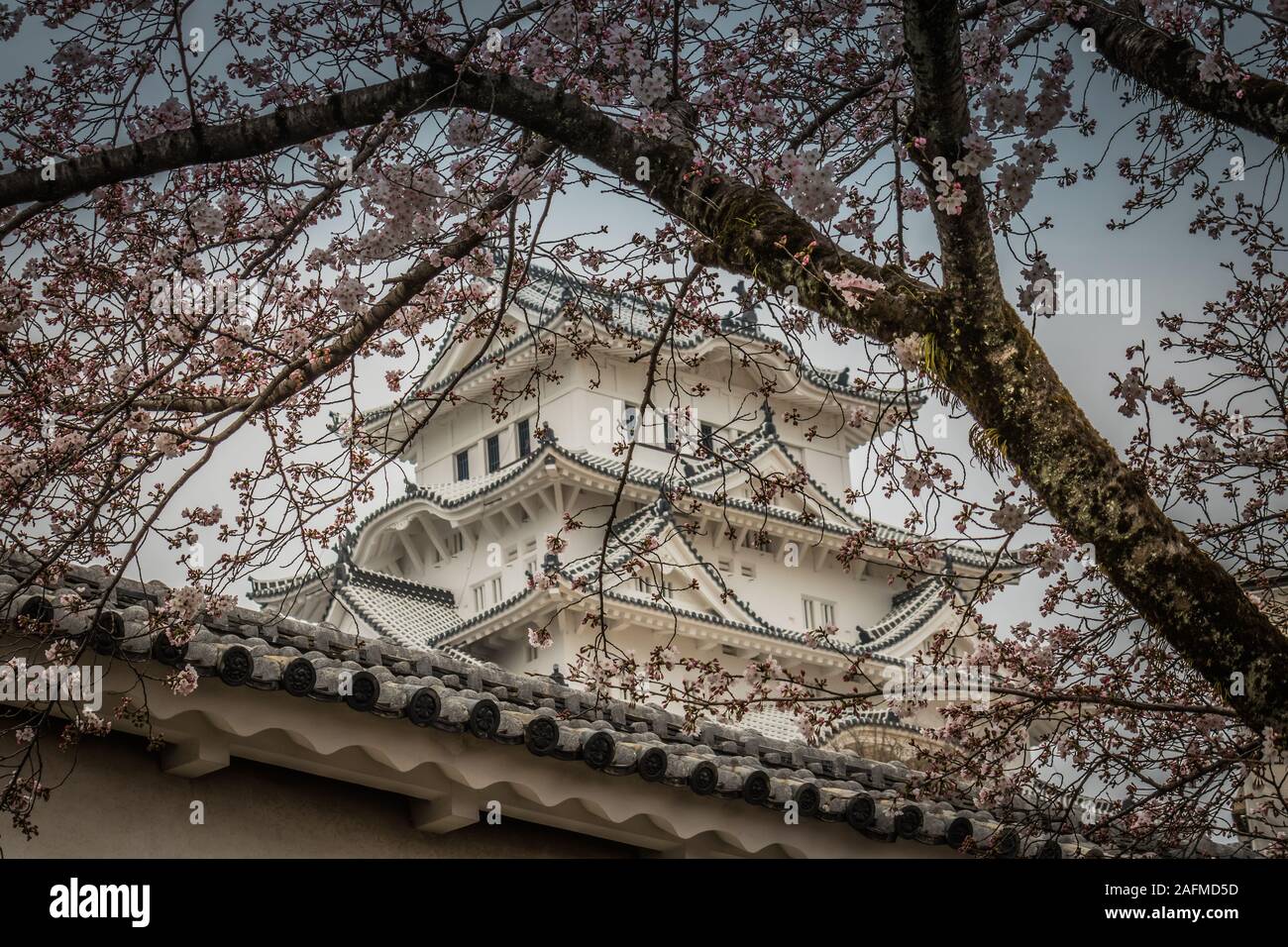 Himeji castle snow hi-res stock photography and images - Alamy