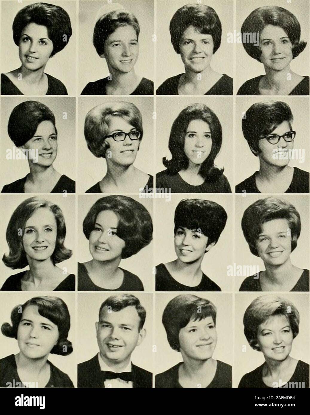 . The Rhododendron [serial]. gm fm mm. lktf=4 Stock Photo - Alamy