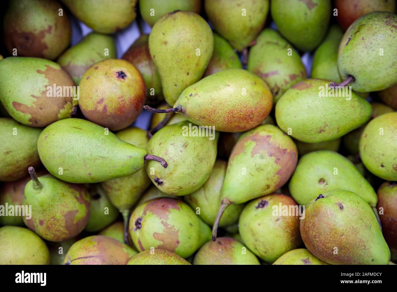 Seasonal fruits are placed in boxes in the grocery store. Close-up of ...