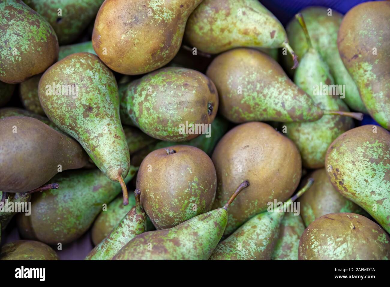 Seasonal fruits are placed in boxes in the grocery store. Close-up of ...