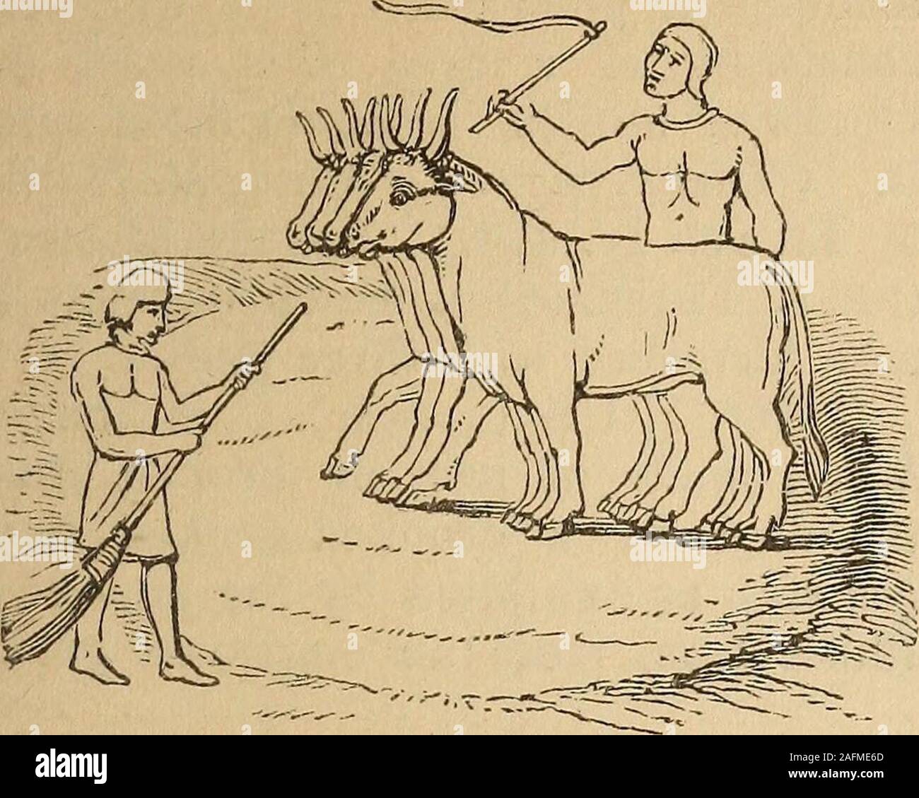 . The illustrated companion to the Latin dictionary and Greek lexicon ...