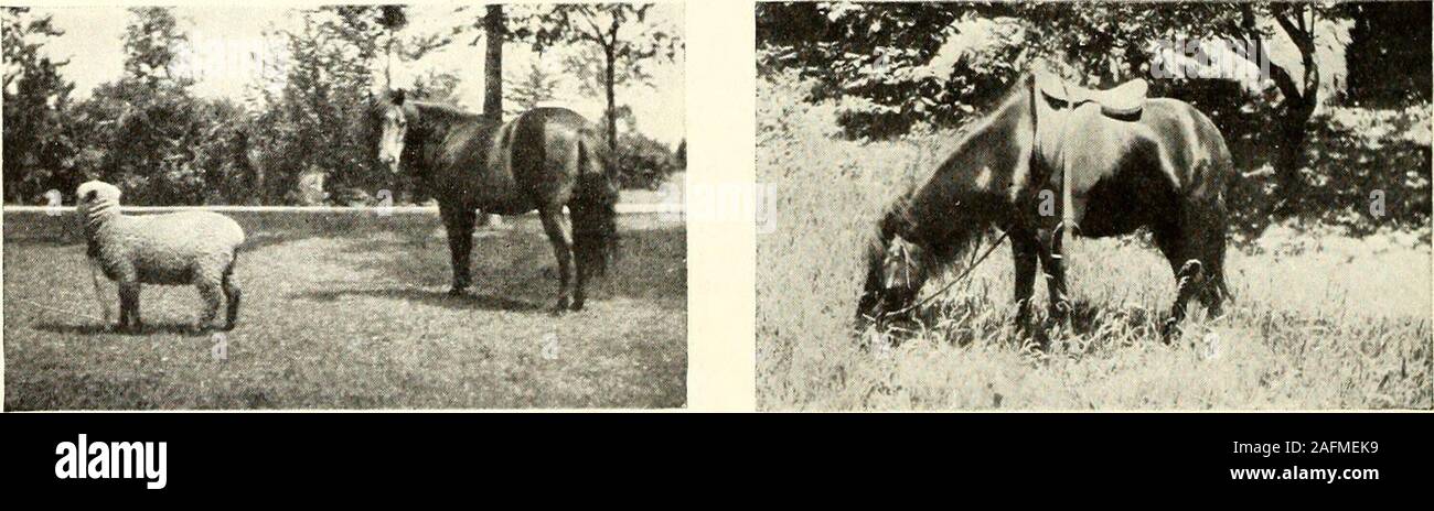 Amy pomeroy hi-res stock photography and images - Alamy