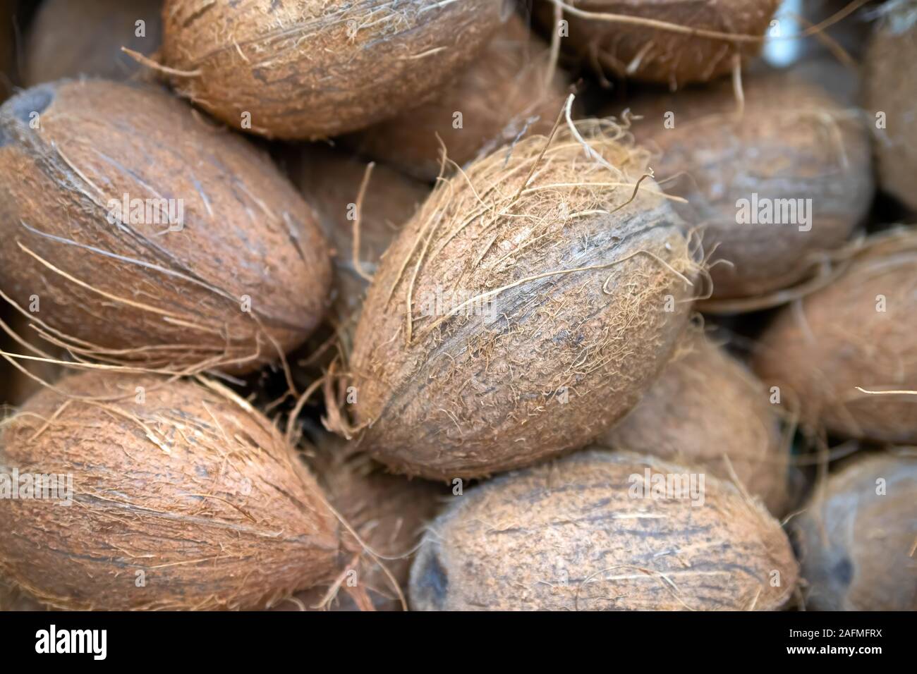 A lot coconuts in the supermarket. Many coco lying in a boxes. Top view ...