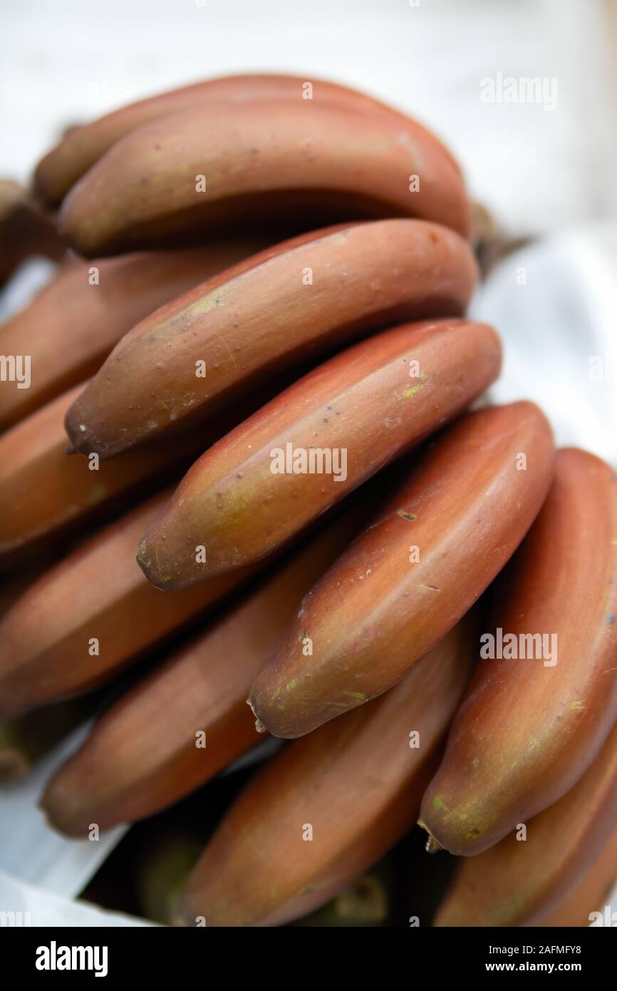 Bunch of bananas unusual brown varieties on boxes in the supermarket ...