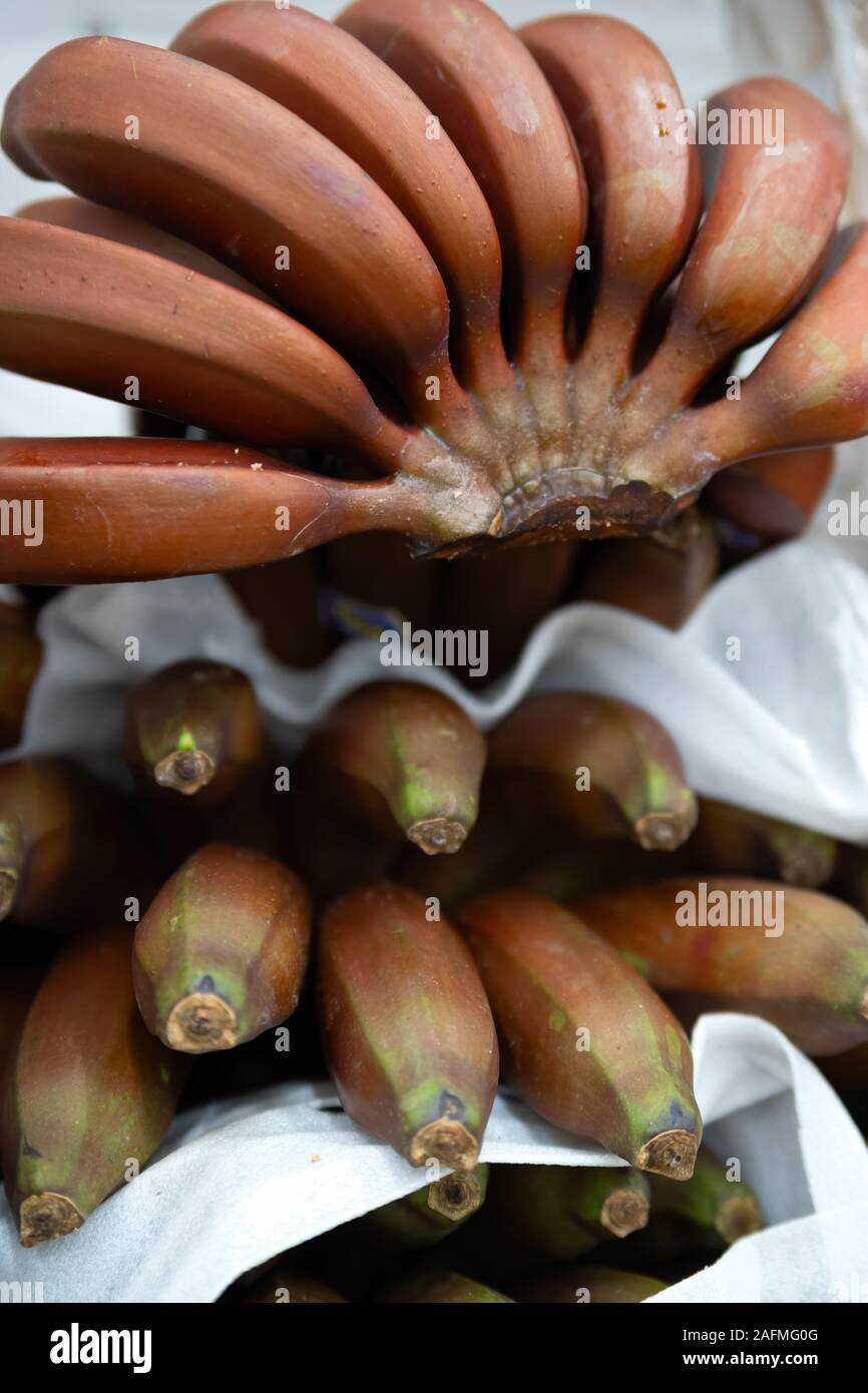 Bunch of bananas unusual brown varieties on boxes in the supermarket ...