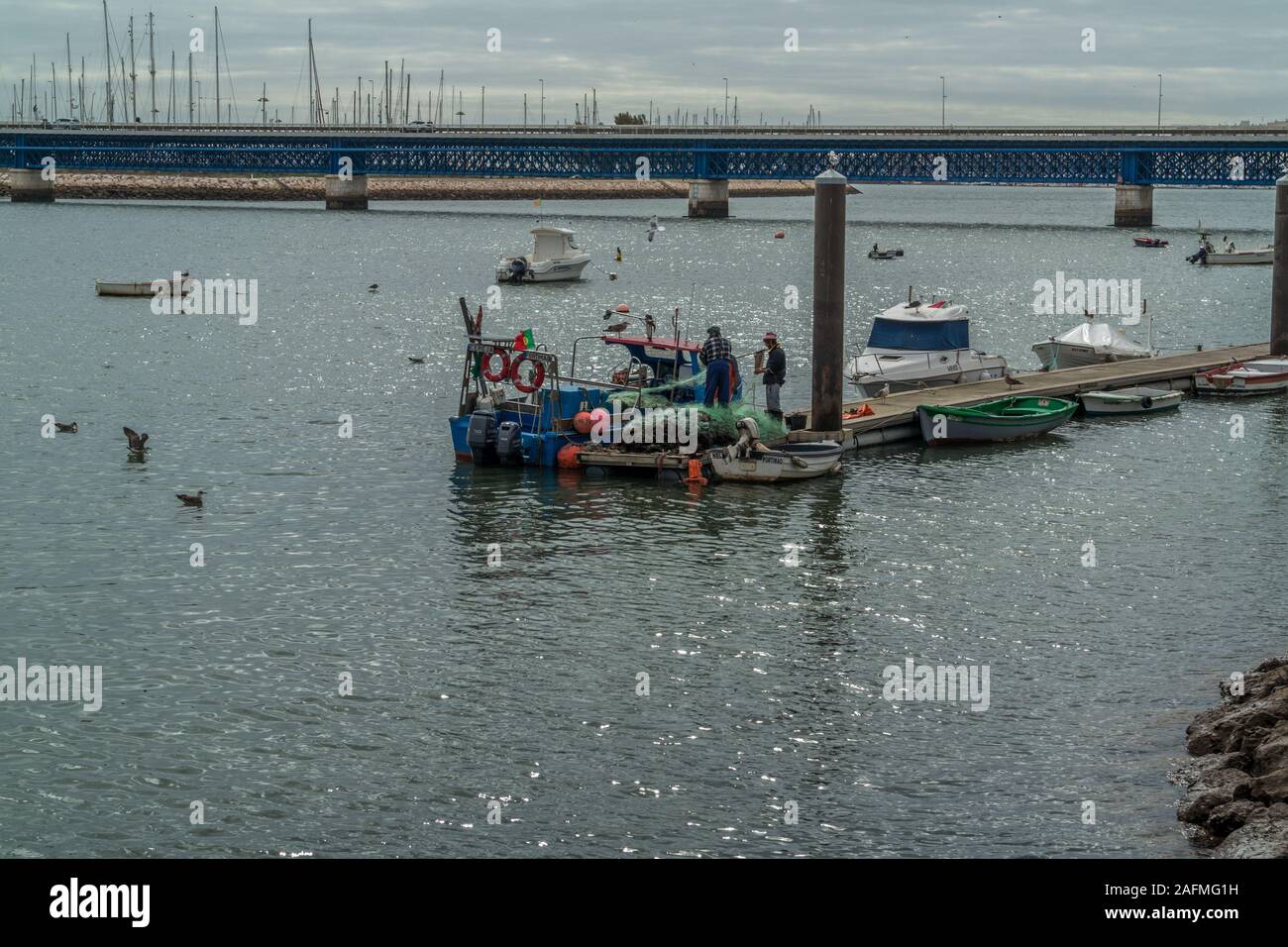 Fishermen in small fishing boat unloading their catch of the day Stock ...