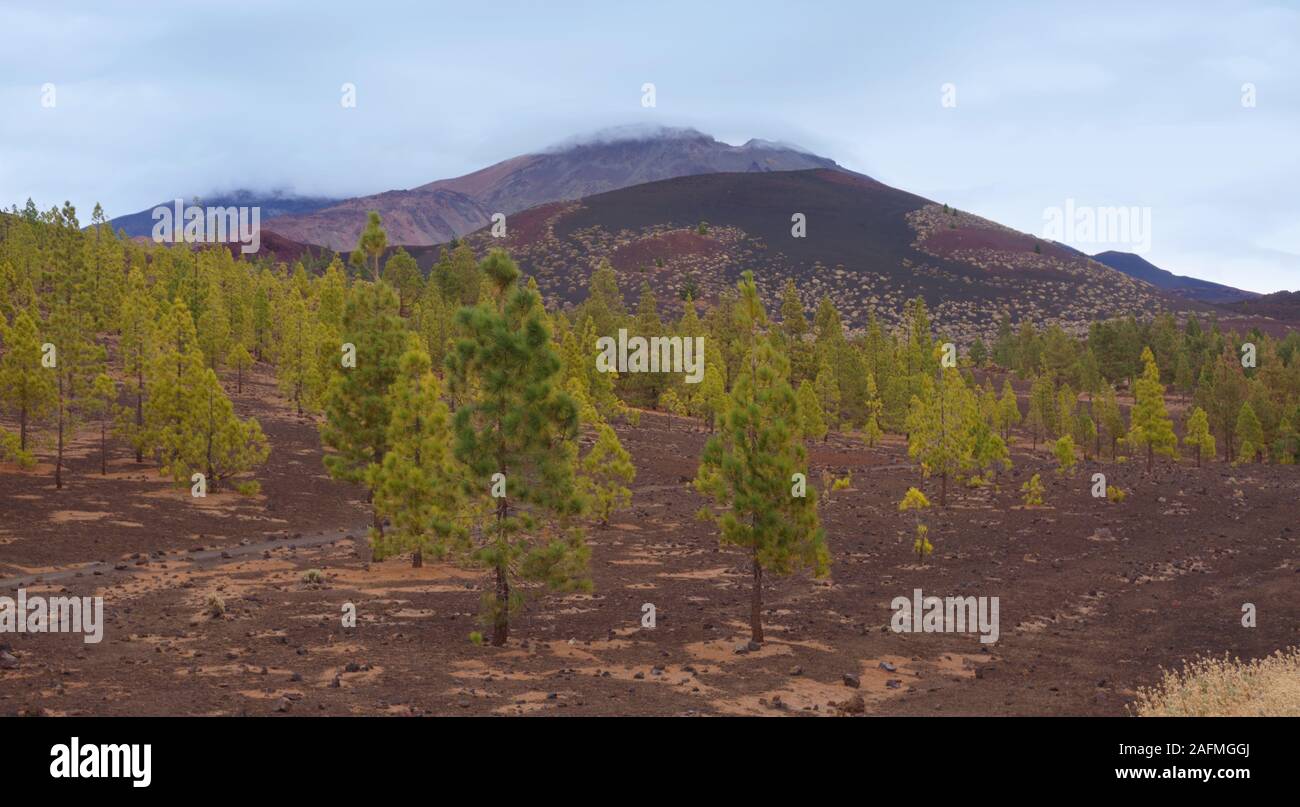 Teide - volcano - Teneriffa Stock Photo - Alamy