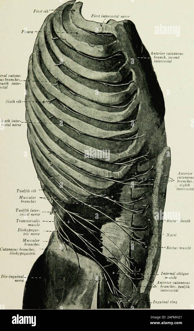Nd outer surface hi-res stock photography and images - Alamy