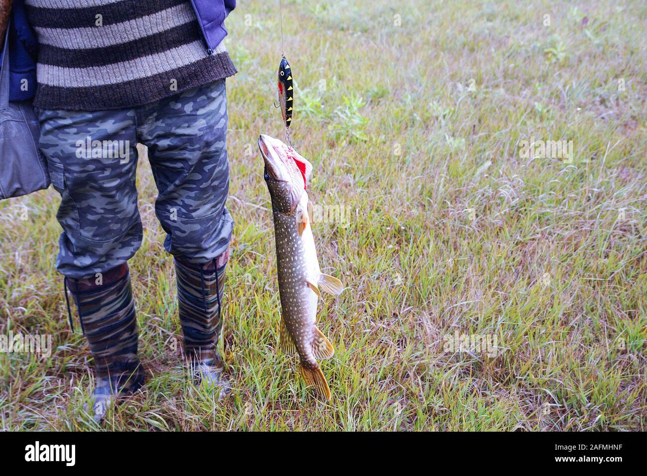 Fisherman holding northern pike hi-res stock photography and images - Alamy