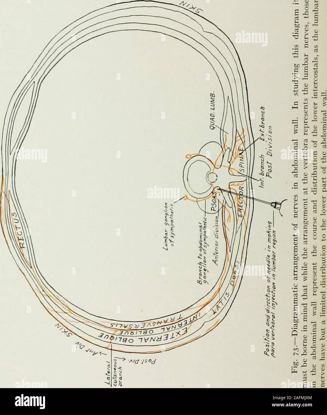 Carbuncles hi-res stock photography and images - Alamy
