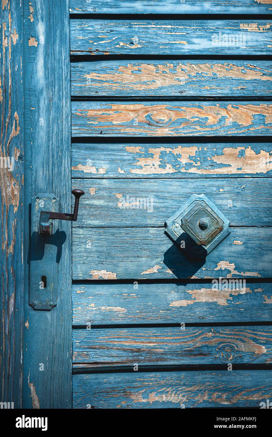 Weathered wood door with shriveled blue paint and door handles ...