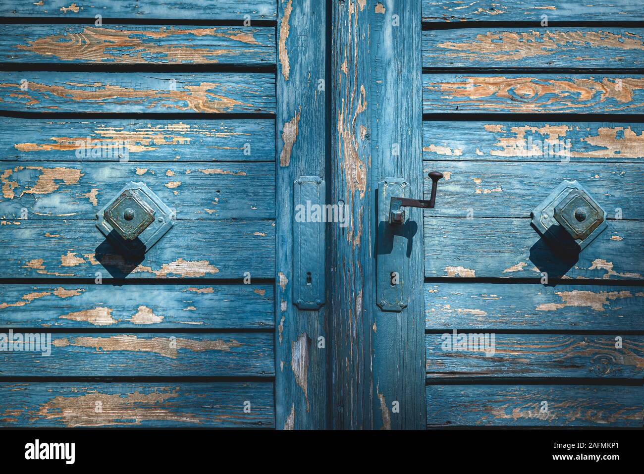 Rustic wooden door with shriveled blue paint close-up on doorknobs ...