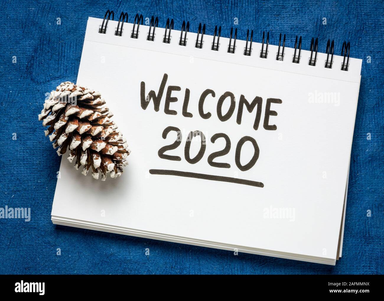 welcome 2020 handwriting in sketchbook with a frosty pine cone, New ...