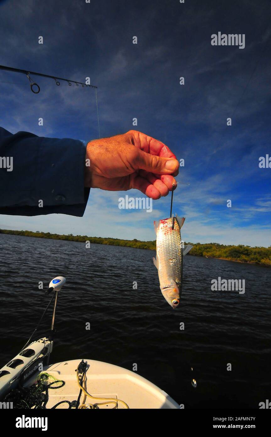 Florida's Volusia County offers some of the best redfish and trout ...