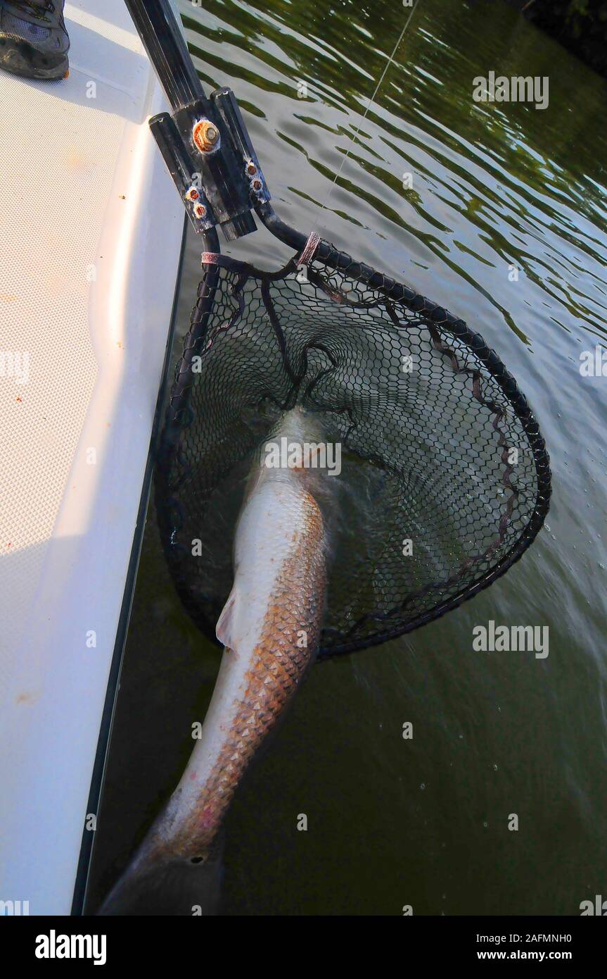 Florida's Volusia County offers some of the best redfish and trout ...