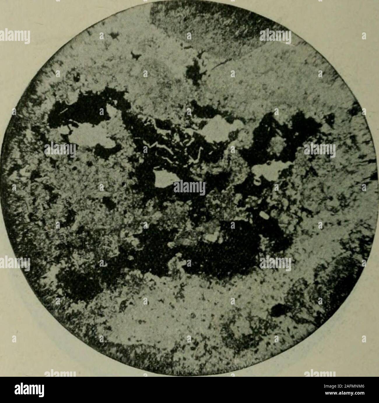 . Transactions. still further type of rock is that known as augite ...