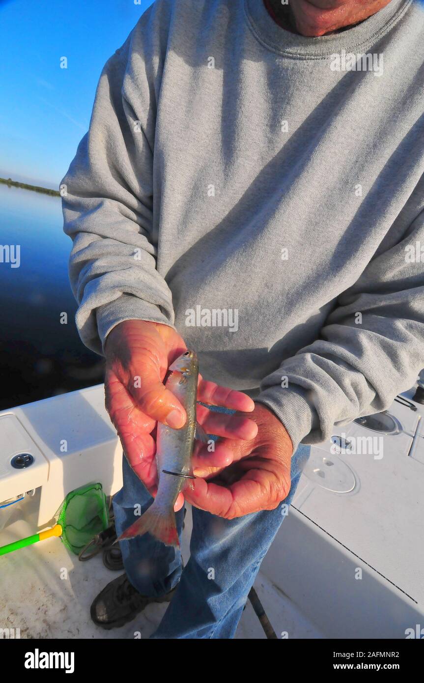 Florida's Volusia County offers some of the best redfish and trout ...