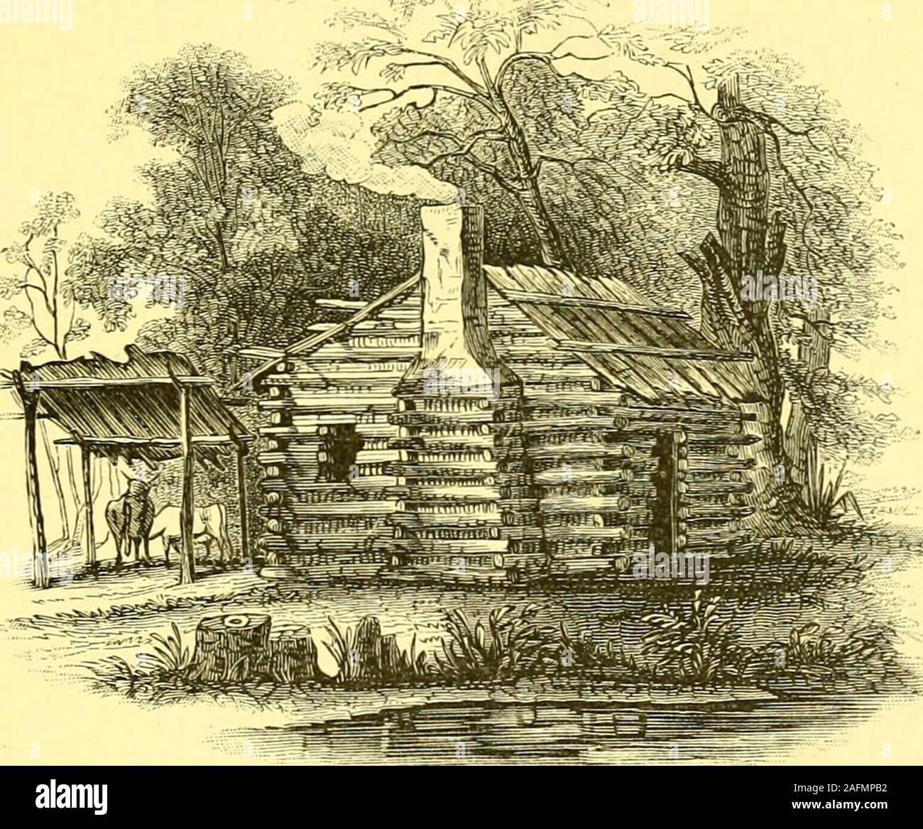 Maori pakeha maori hi-res stock photography and images - Alamy