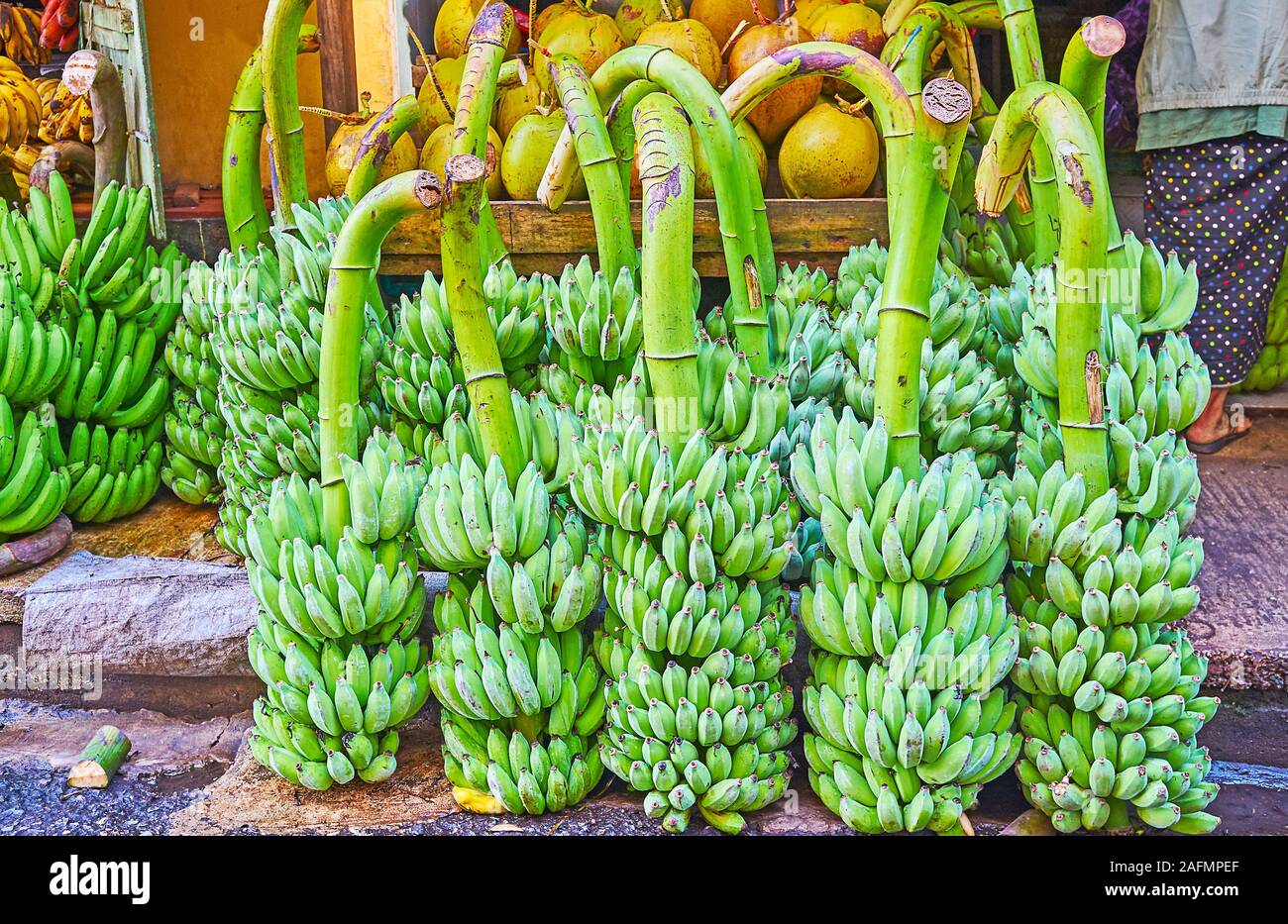 Banana Bunches High Resolution Stock Photography and Images - Alamy