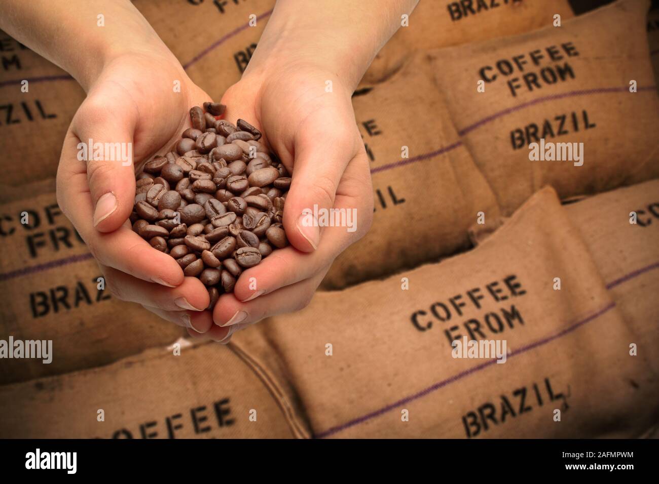 Cafe coffee coffee bean transport hi-res stock photography and images ...