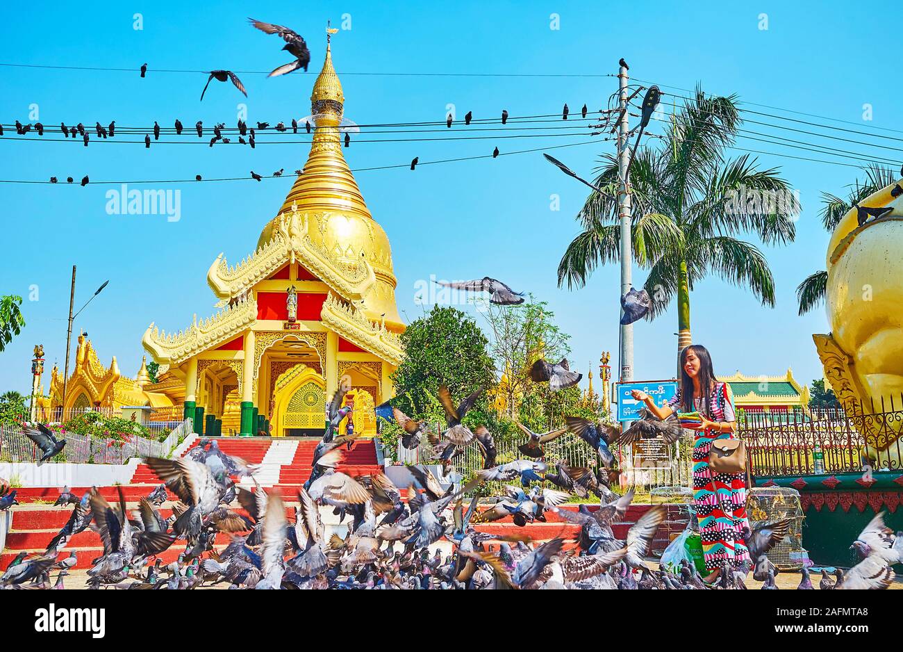 Birds of maha hi-res stock photography and images - Alamy