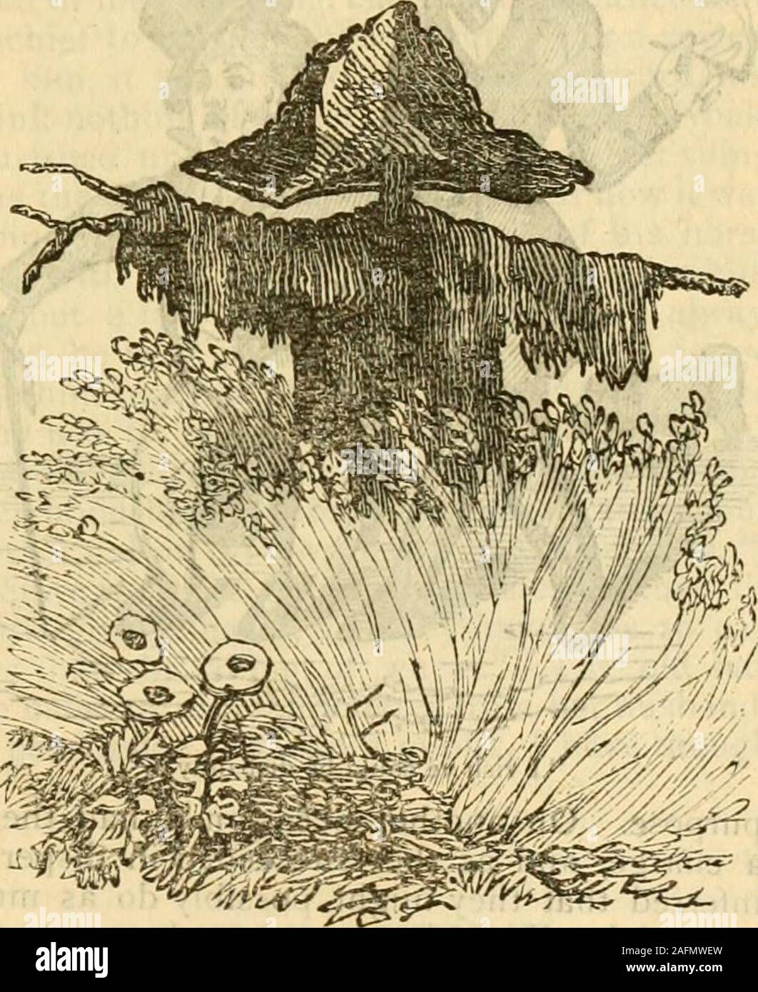 Hewell hi-res stock photography and images - Alamy