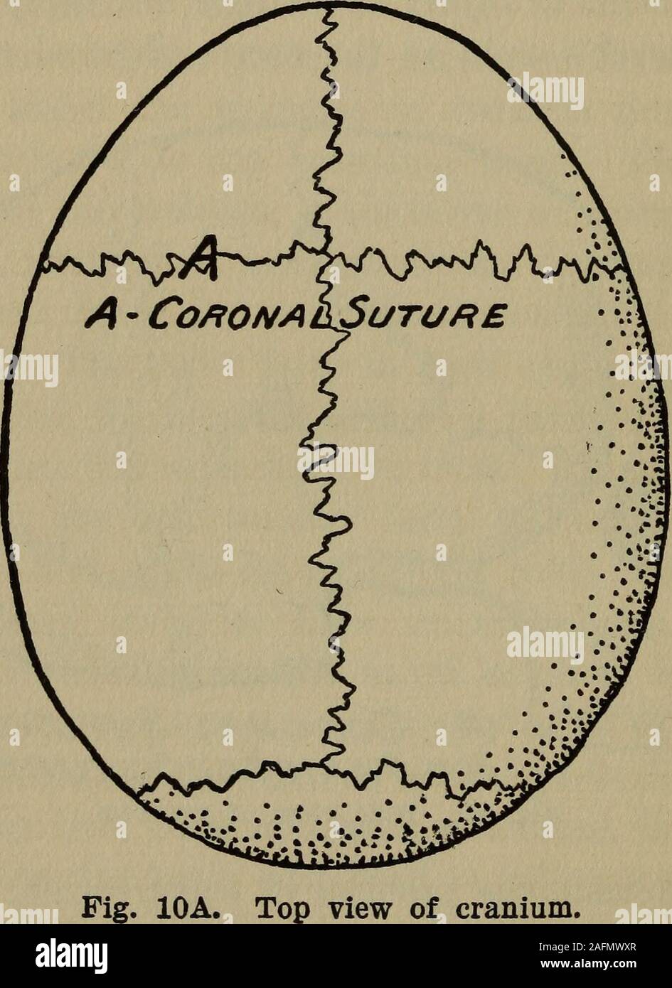 . Cosmic law; the immortality of the soul and the existence of God. A ...
