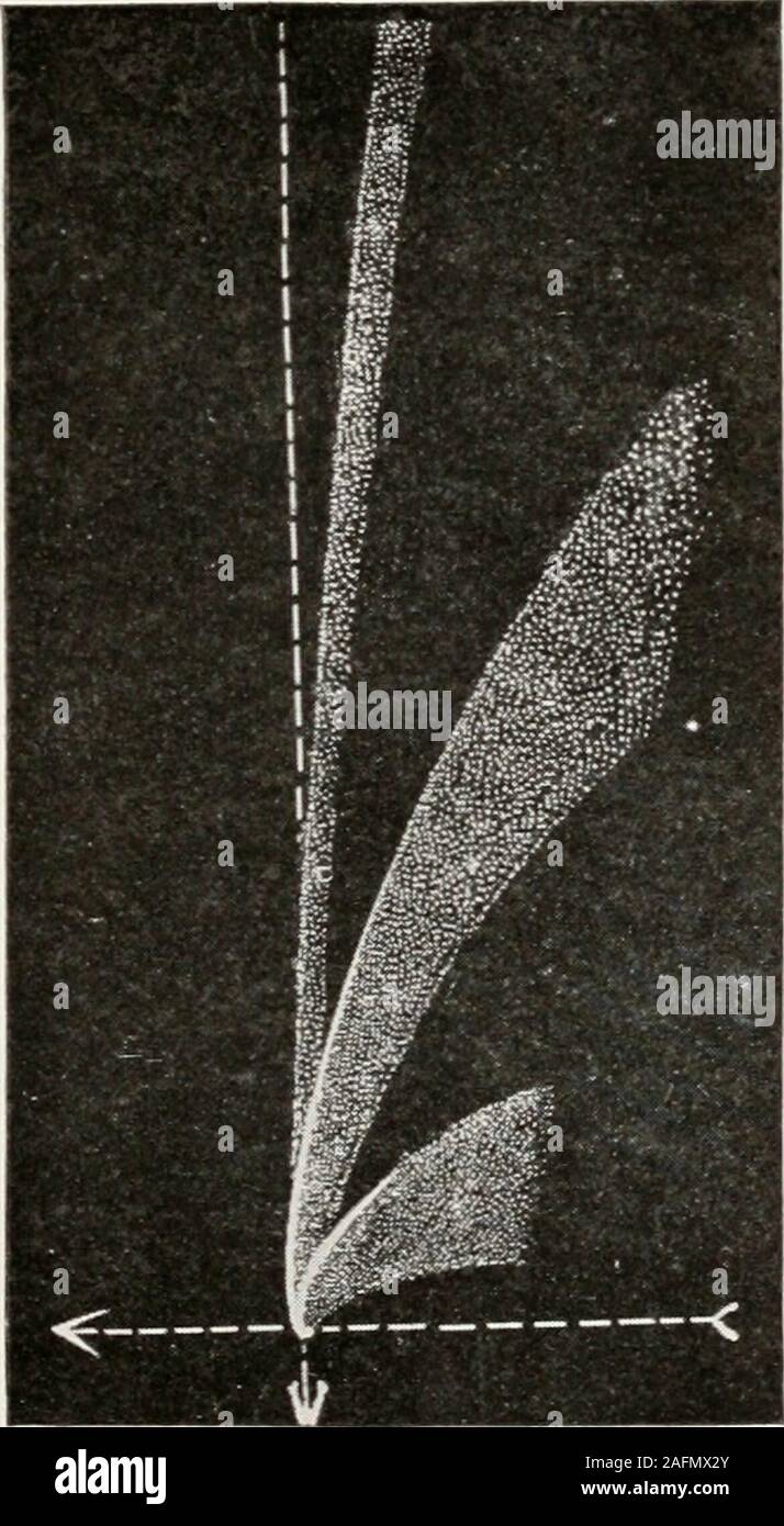 Orbital motion diagram hi-res stock photography and images - Alamy