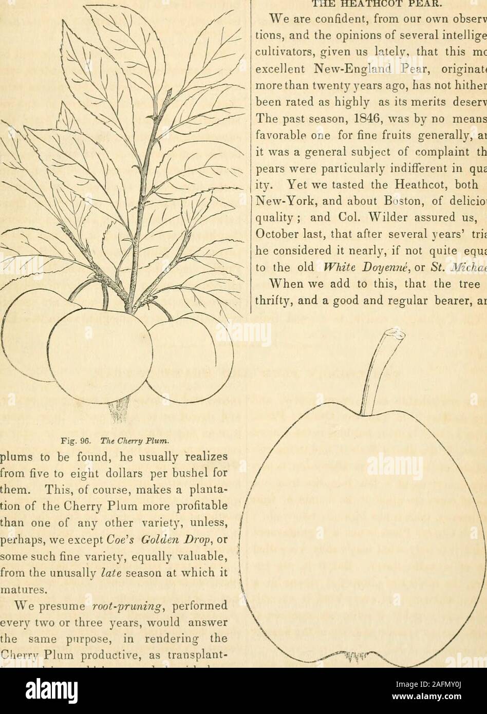 Salem poor hi-res stock photography and images - Alamy