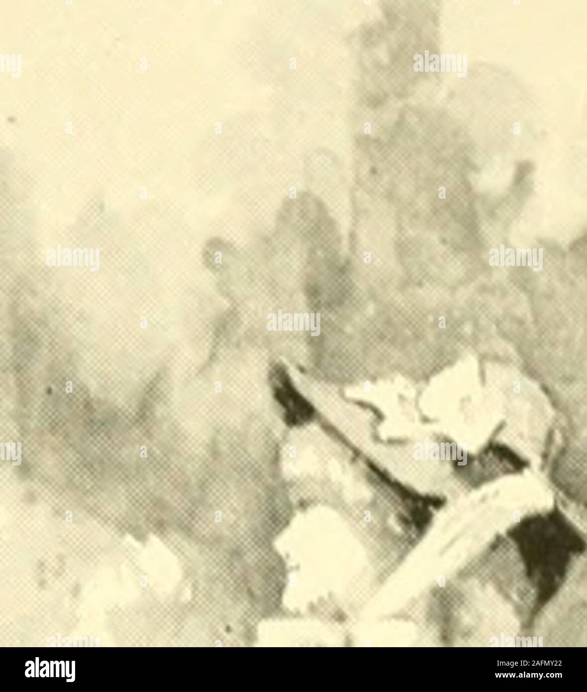 . Jack and Jill; a love story Stock Photo - Alamy