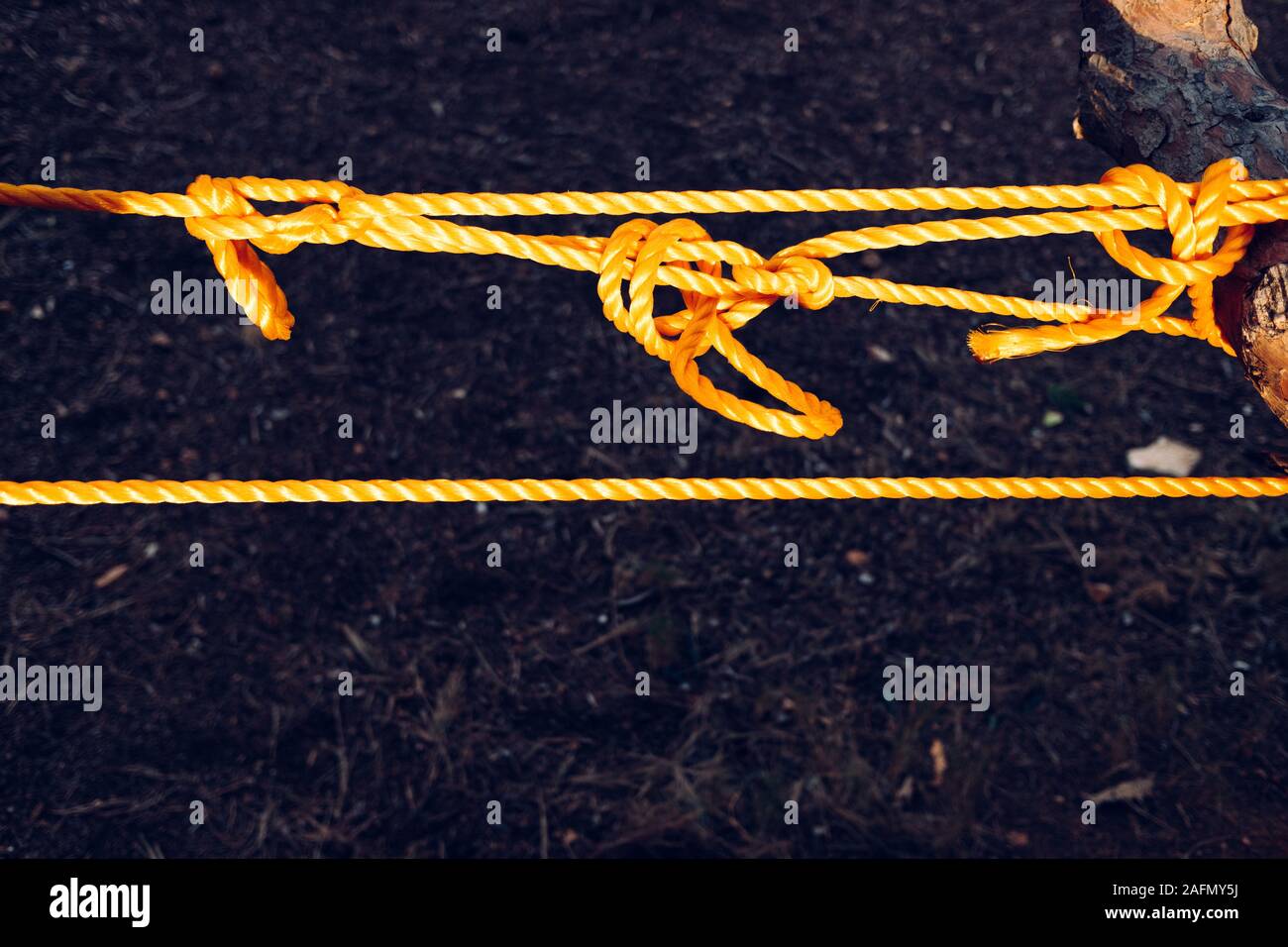 Complicated Rope Knot