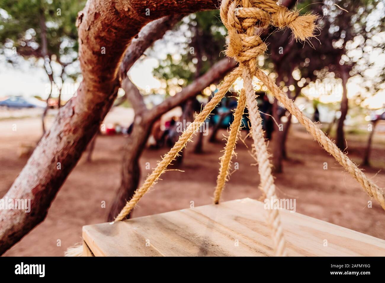 Tie to support tree hi-res stock photography and images - Alamy