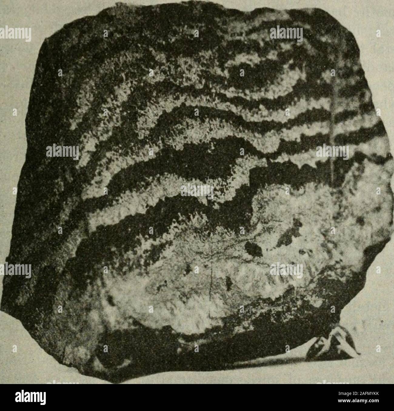Diagram Of Contact Metamorphism Animation Gif