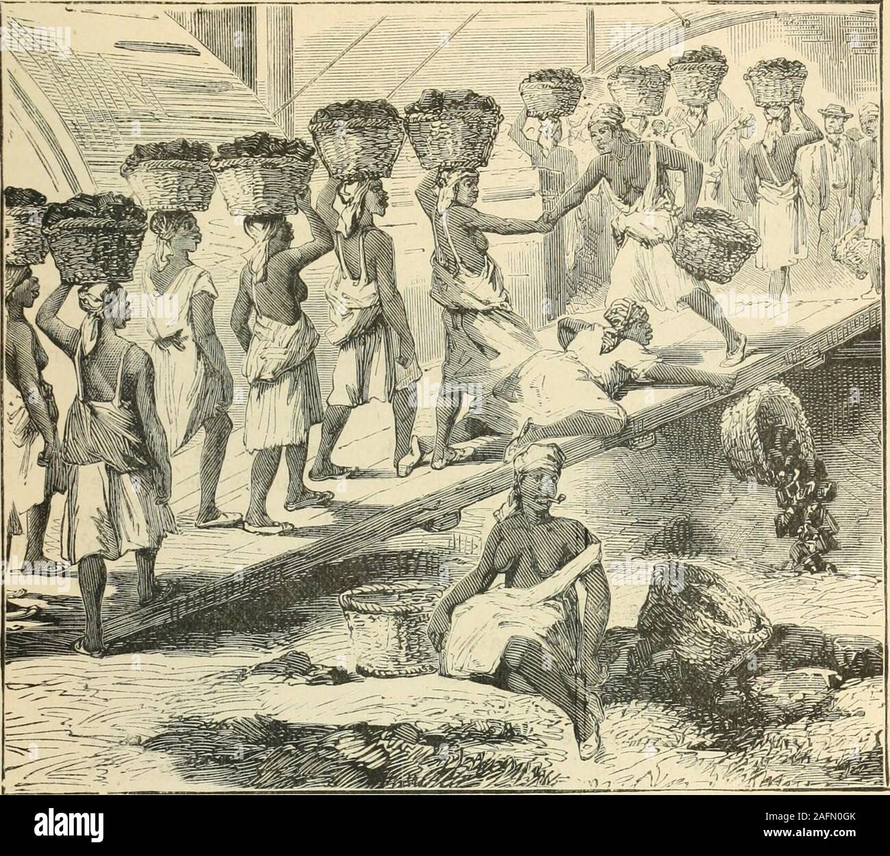 Indian slaves cuba hi-res stock photography and images - Alamy