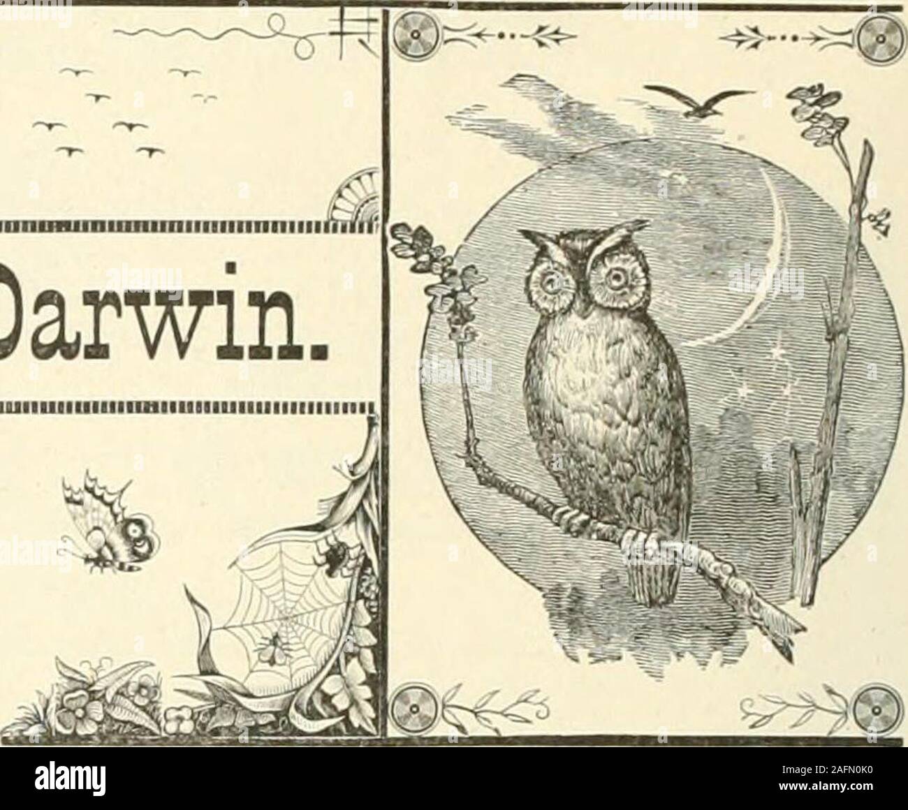 Charles darwin work hi-res stock photography and images - Alamy