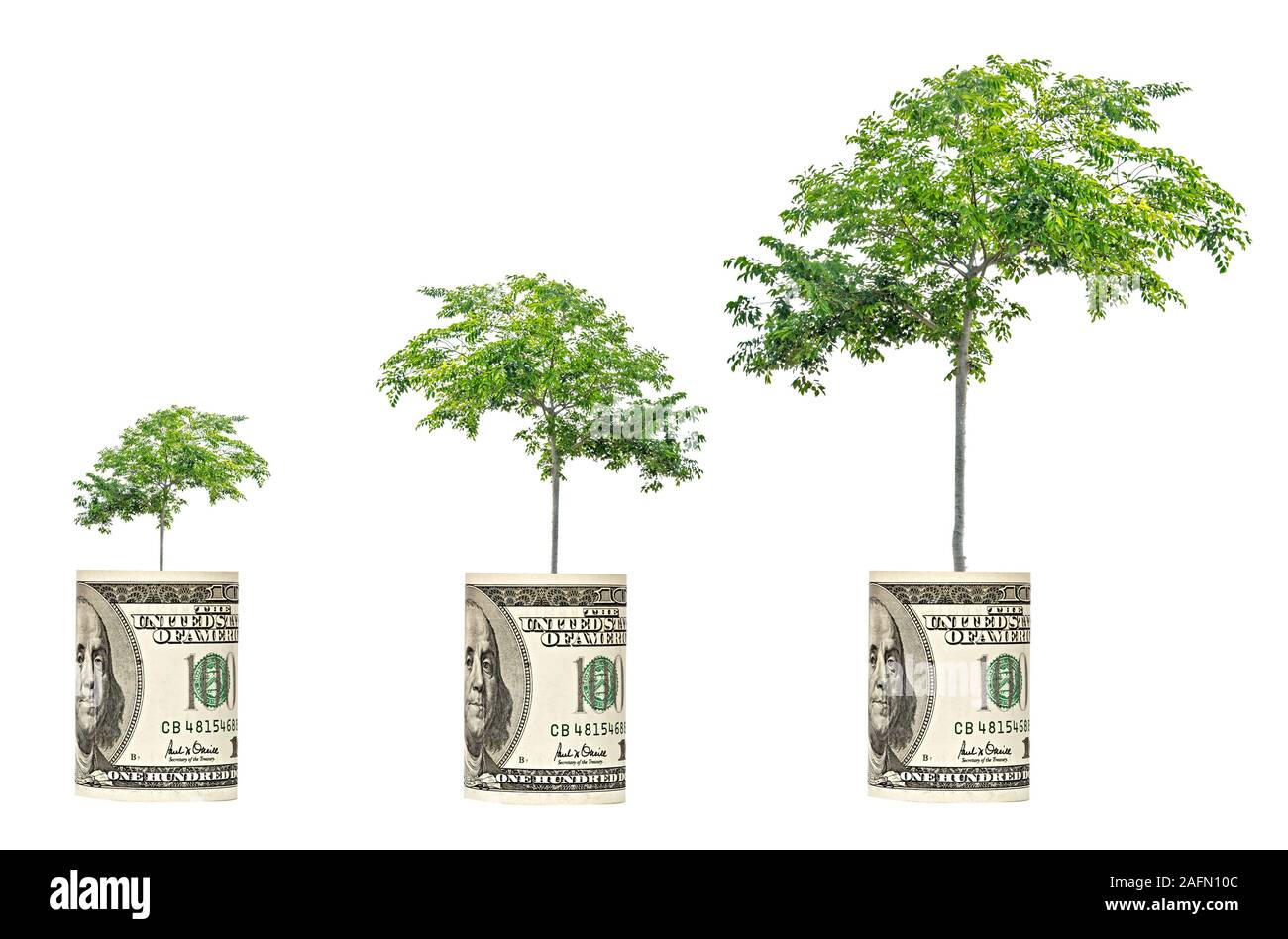Three trees growing from dollar bill Stock Photo - Alamy