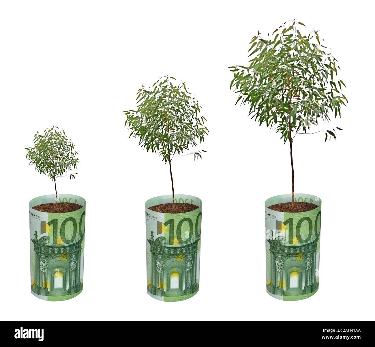 Eucalyptus tree europe Cut Out Stock Images & Pictures - Alamy