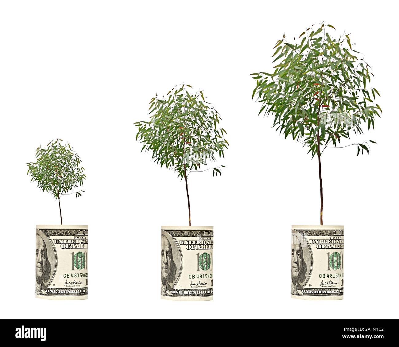 three trees growing from dollar bill Stock Photo - Alamy
