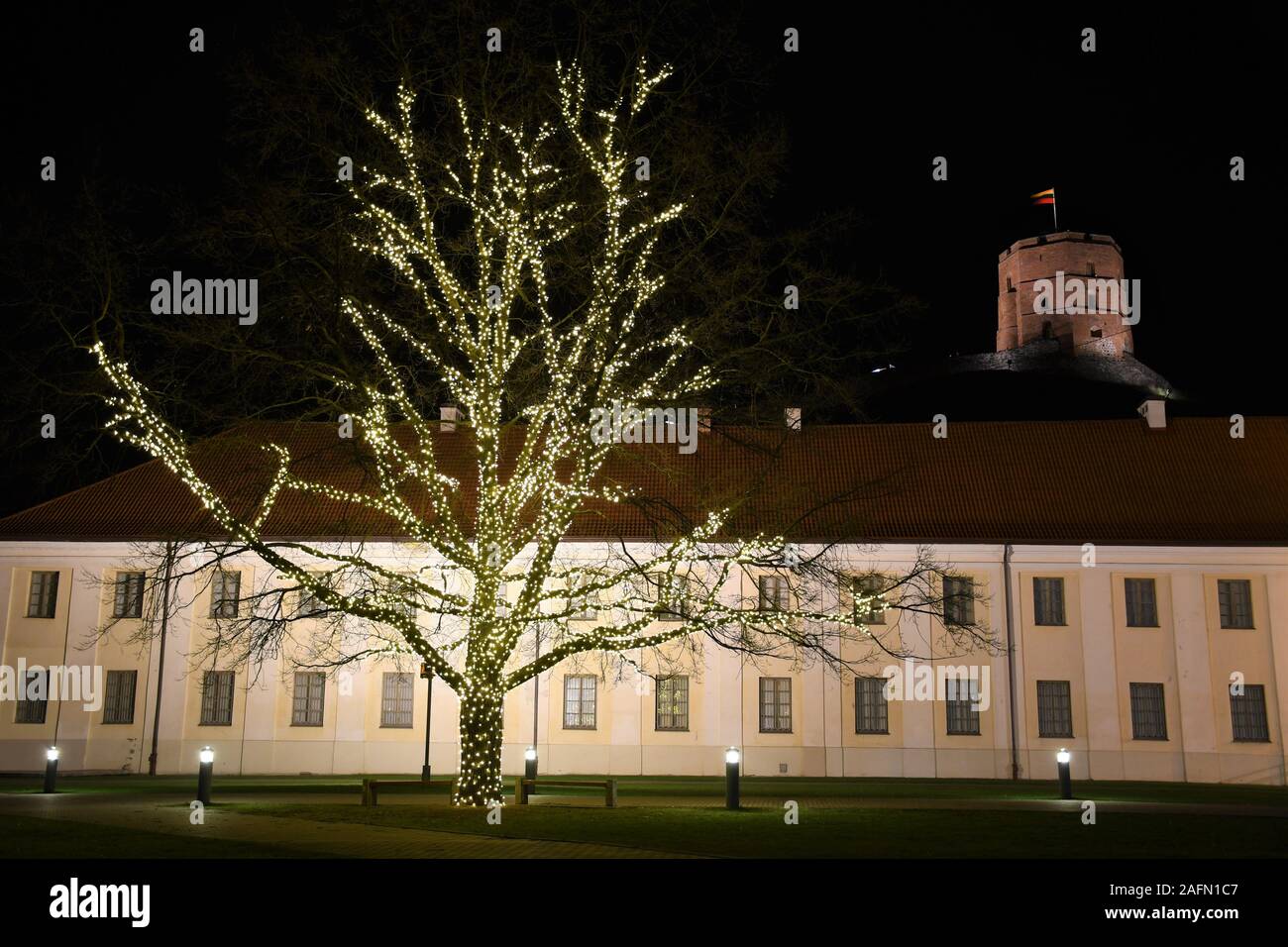 Beautiful tree decorated with Christmas lights in front of National ...