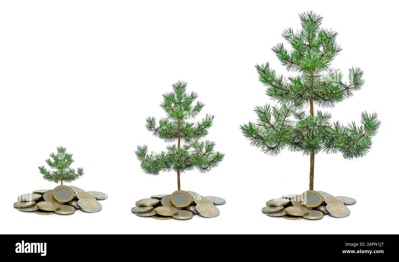Pine tree growing from pile of coins Stock Photo - Alamy